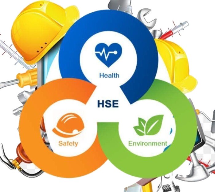 Environmental Health Training Programs: Shaping Future Leaders in ...